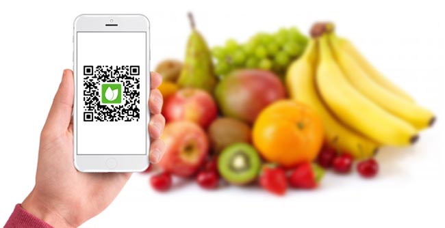 Aprovada IN sobre rastreabilidade de vegetais in natura