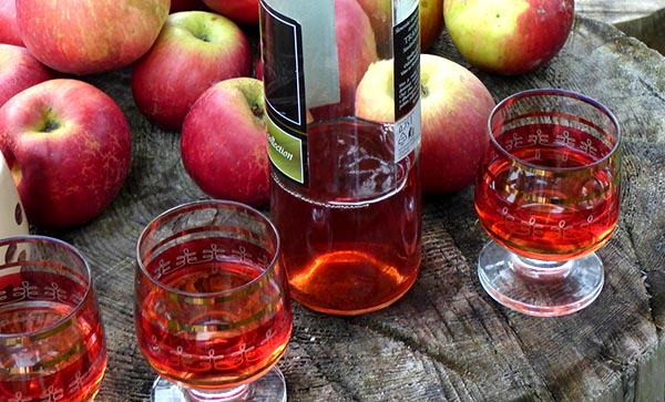 Mapa define novos parâmetros para sidra e regras para vinagre de fruta