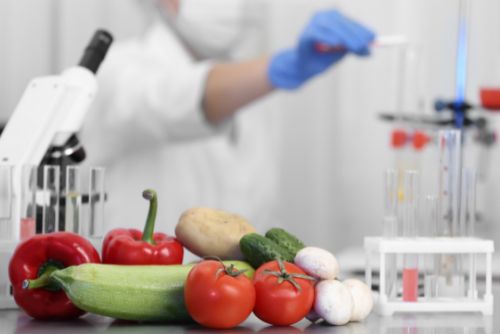 Principais mudanças no Codex Alimentarius para o APPCC em 2020